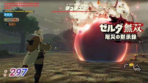 危険個体のチュチュ戦【ゼルダ無双 厄災の黙示録 297】 Youtube