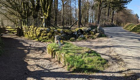 Kitty Jays Grave Higgypop