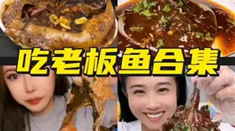 老板鱼合集老板鱼 魔鬼鱼 没有刺的鱼 海鲜 美食分享 Youtube