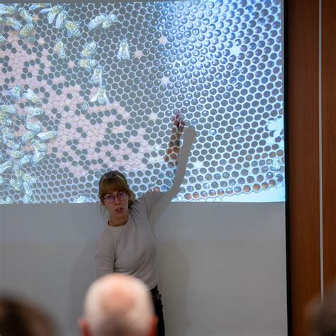 Huda Gniloba čebelje Zalege In Azijski Sršen Predavanje Kc Semič