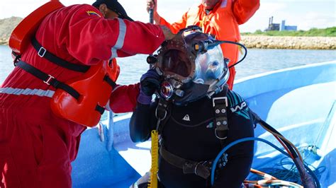 Professional Diving Services