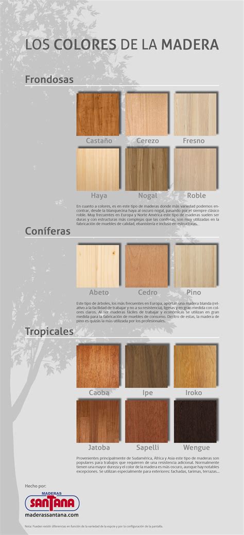Infografía Colores De La Madera Abedul Madera Tipos De Madera Para