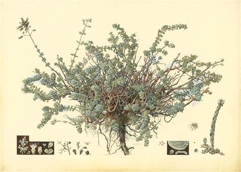 Seeds Of The Land The Israel Museum Jerusalem