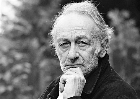 Przemysław Gintrowski Alchetron The Free Social Encyclopedia