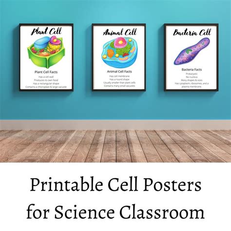 Three Posters With The Words Printable Cell Posters For Science