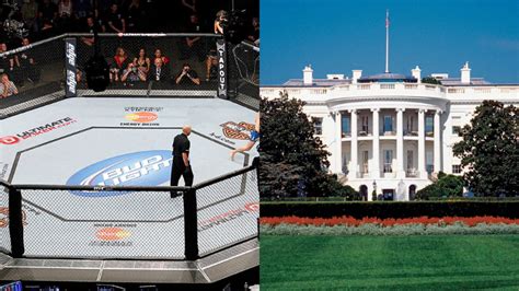 Ufc Fight On The White House Lawn Is Actually Happening Live On Cbs