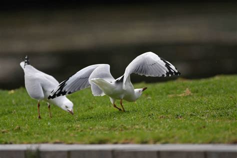 A Tappity By Thebootesartvoid On Deviantart