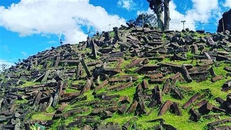 Gunung Padang Situs Purbakala Yang Menjadi Sorotan Dan Kontroversi Ilmiah