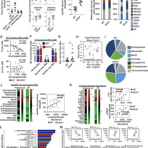 B Cell Deficiency Is Associated With Altered Ba Composition In The