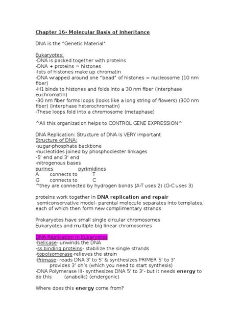 Chapter 16 Molecular Basis Of Inheritance Pdf Dna Replication Dna