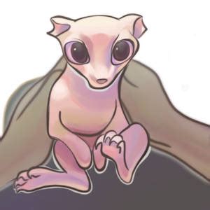 Explore The Best Bingus Art Deviantart Explore The Best Bingus Art Deviantart