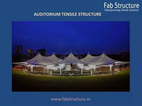 Fab Structure Pptx