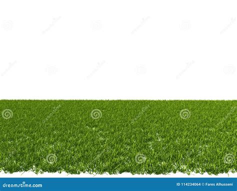 3d Rendering Of A Grass Patch For Architectural Use Stock Illustration