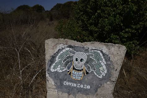 Albany Bulb Was Once A Notorious Landfill Now Its An Art Wonderland
