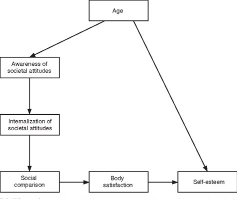 Figure 3 From Body Image And Self Esteem Among Adolescent Girls