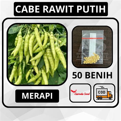 Jual 50 Butir Cabe Rawit Putih Merapi Cabai Garuda Seed Bibit Tanaman Sayuran Shopee Indonesia