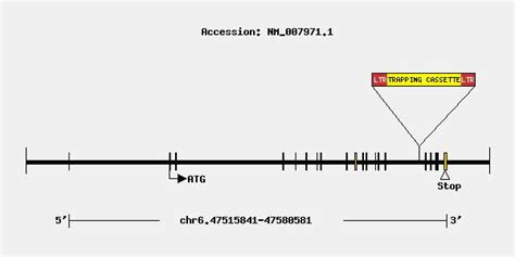 Ezh2 Taconic Biosciences