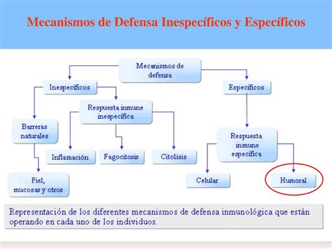 Ppt Conceptos BÁsicos De InmunologÍa Para BiotecnÓlogos Powerpoint