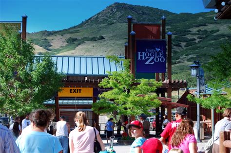This Interactive Exhibit At The Hogle Zoo Is The Best New Attraction In
