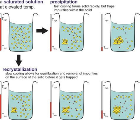 Separation Of Mixtures Via Precipitation Video Jove