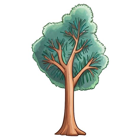 [200 ] Tree Elevation Png Images