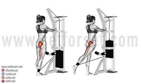 11 Glute Kickback Variations To Tone Your Butt Set For Set