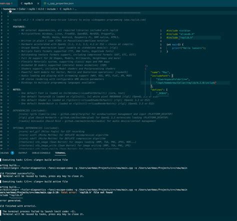 trying to compile the first lesson with initwindow raylib ask