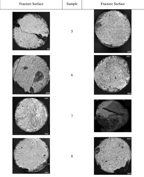 Light Micrographs Of The Tensile Sample Fracture Surfaces From The