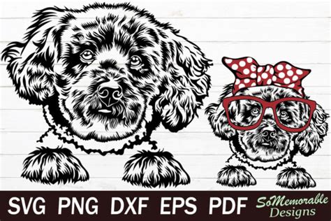 Cocker Spaniel Graphic By Somemorabledesigns · Creative Fabrica