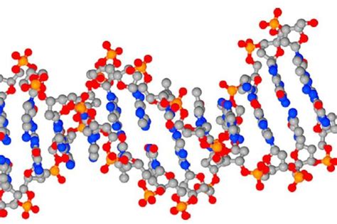 Datos Genéticos Son Vulnerables En La Era Del Internet El