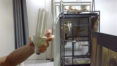 Recycle Object Detection Dataset And Pre Trained Model By Ase