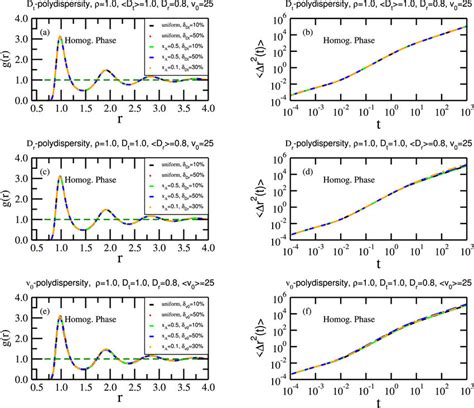 Structure And Dynamics In The Homogeneous Phase For Uniformly
