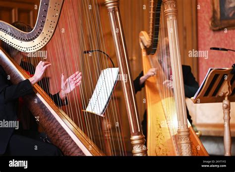 Liserlohn Music School A Présenté Le 6 11 2022 Avec Son Concert De Chambre De 7th Devant Un