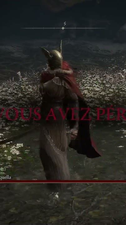 Hirollol On Twitch Hiro First Try Malenia Xd Youtube