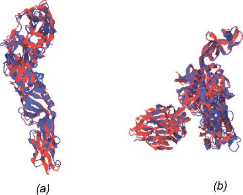 Superposition Of Envelope Proteins From A Denv 2 Blue Pdb 7kv8