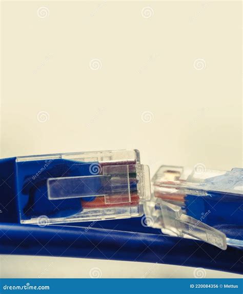 Network Rj45 Utp Female Socket Is Chased By Two Utpstp Cables That Looks Like Tentacles Of A