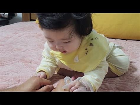 아빠 껌딱지 유니 엉덩이를 들썩들썩 아빠 손등에 뽀뽀 그래도 발가락 맛은 포기할 수 없는듯 밤골아가 육아 YouTube