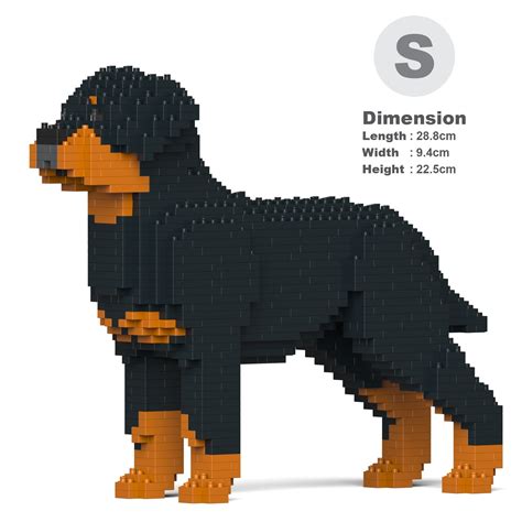 Rottweiler 02 Jekca Australia