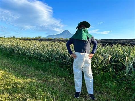 Alner Andrew Fernandez On Linkedin Homoproaliis