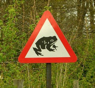 Beware Of Toads Street Signs Toad Funny Road Signs