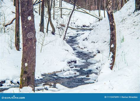 Tiny Stream In Forest Winter Time Stock Image Image Of Beauty Rural 111247699