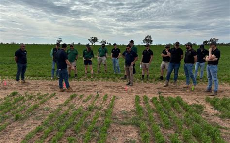 Randd Update 🌾 Trial Data From Imtrades 2024 Product Knowledge Sites Has Now Been Collated And Is