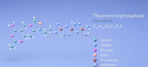 Thiamine Triphosphate Molecule Skeletal Formula Stock Vector