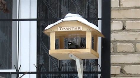 Кормушка для птиц - YouTube