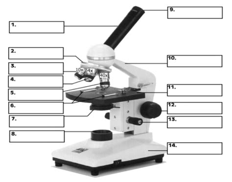 Microscope Functions Quiz