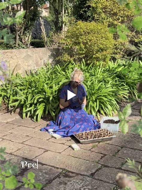 Ecoeducation Sustainableliving Greenfuture Greenplanet Useforclimate… Anna Modeer