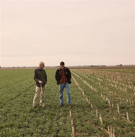Timing Is Everything Illinois Soybean Association