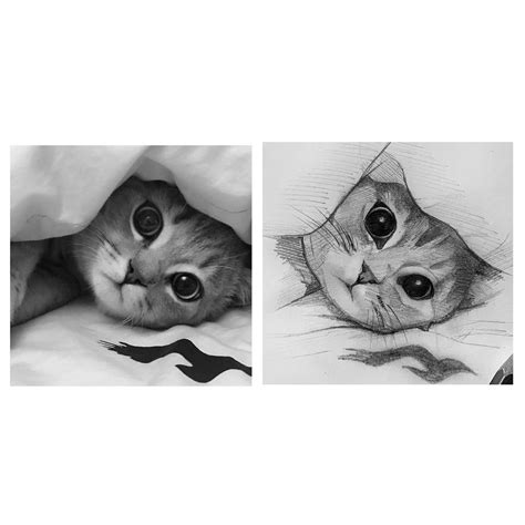 Cute Cat Drawings Art Pinterest Simple Cute Drawings