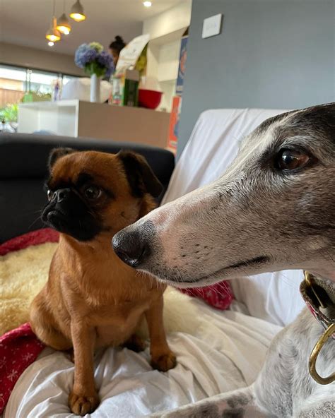 Anna Mcinerney Anna Mcinerney • Instagram Photos And Videos