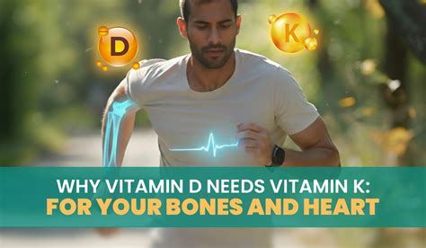 Why Vitamin D Needs Vitamin K For Bones And Heart Health